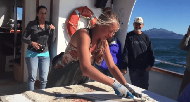 This Girl Will Show You Exactly How To Fillet A Fish Like A ...