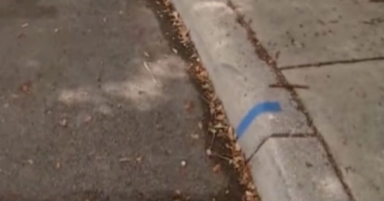 Blue Lines Are Popping Up In Neighborhoods All Over Town. What You ...